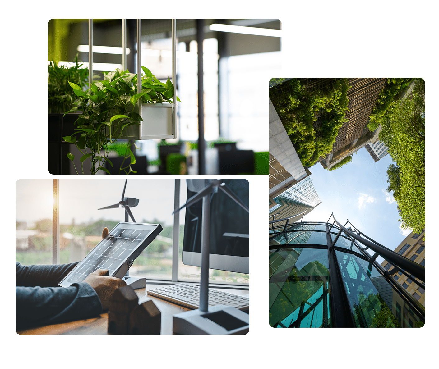 Green IT und IT-HAUS - IT-HAUS GmbH